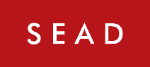 Tercerización TI | SEAD